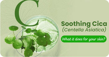 8 Healing Benefits of Cica (Centella Asiatica) for Skin