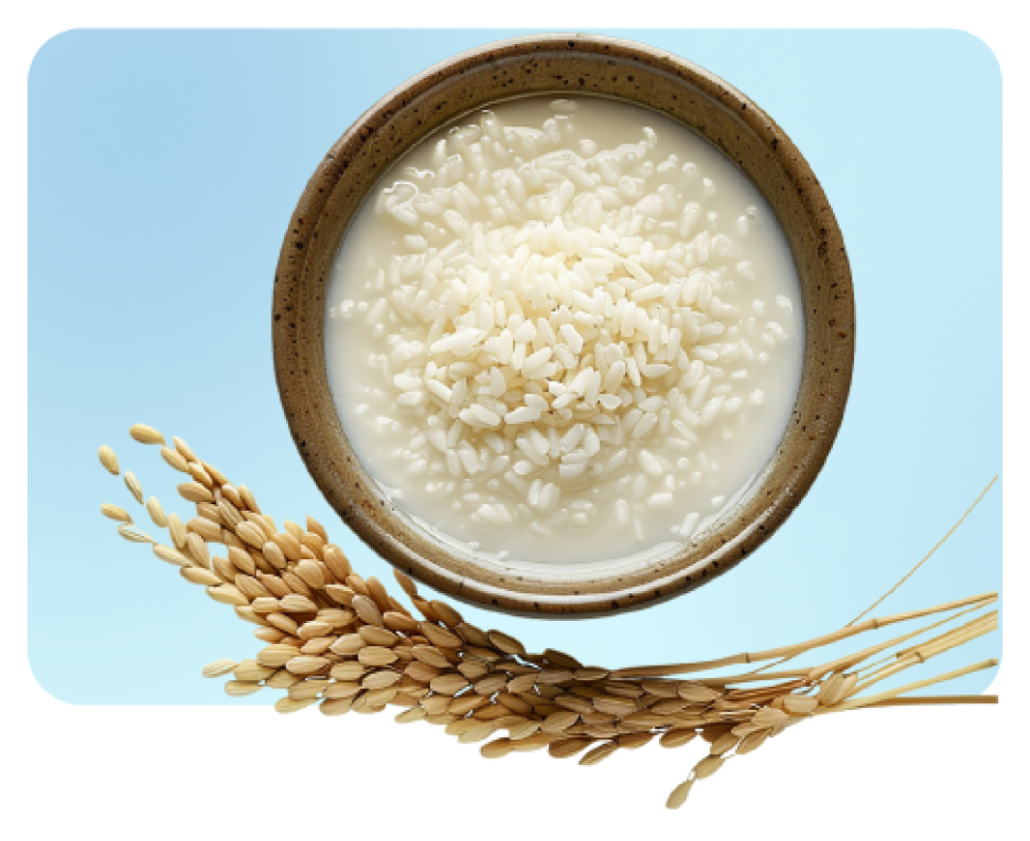 Japanese Rice Water Toner with Hyaluronic – Dot & Key